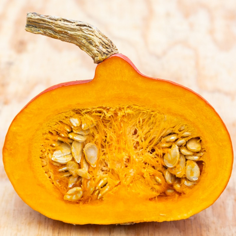 COURGE Potimarron Uchiki Kuri - Graines paysannes artisanales | Les ...